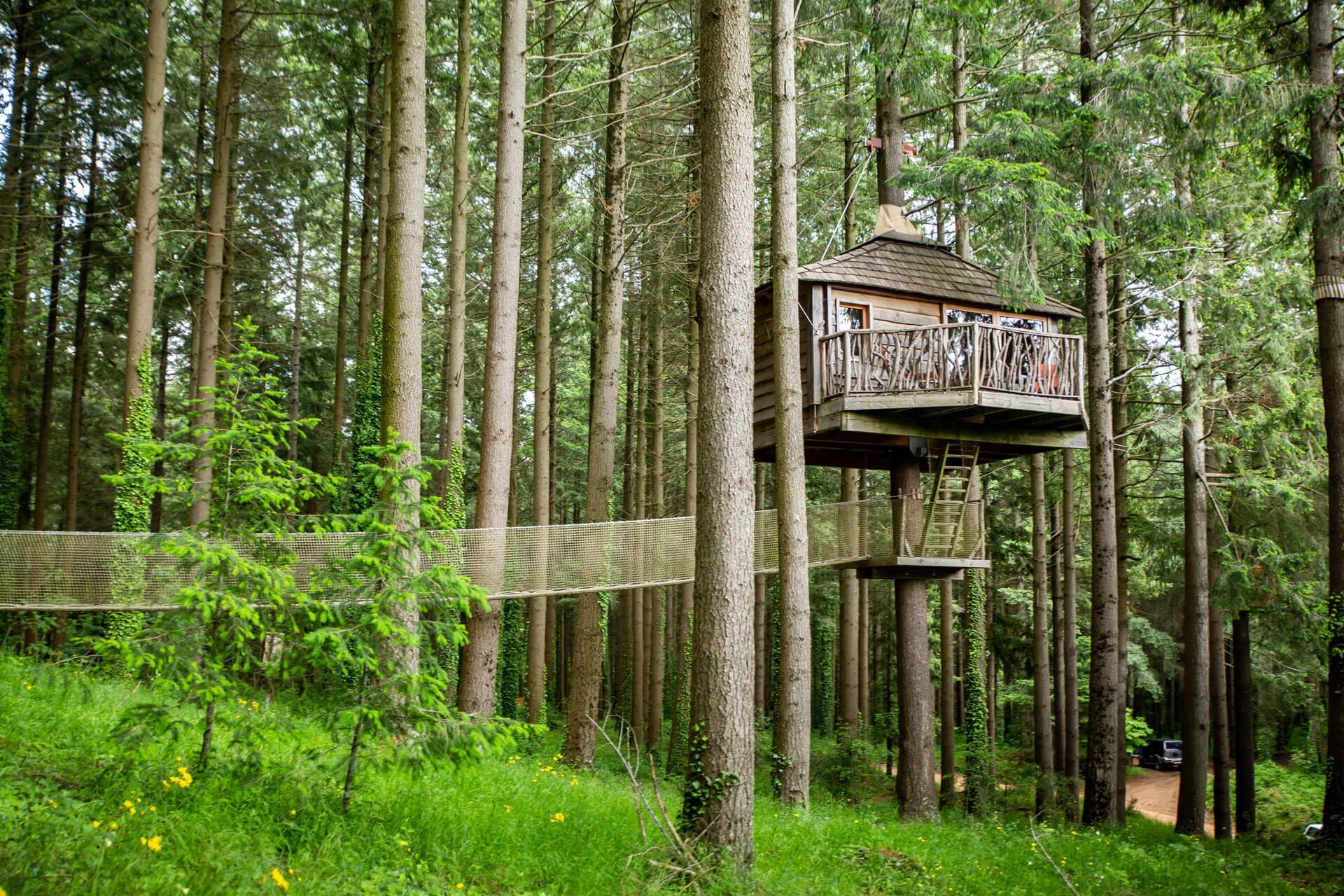 Cabanes als arbres - DOMUS
